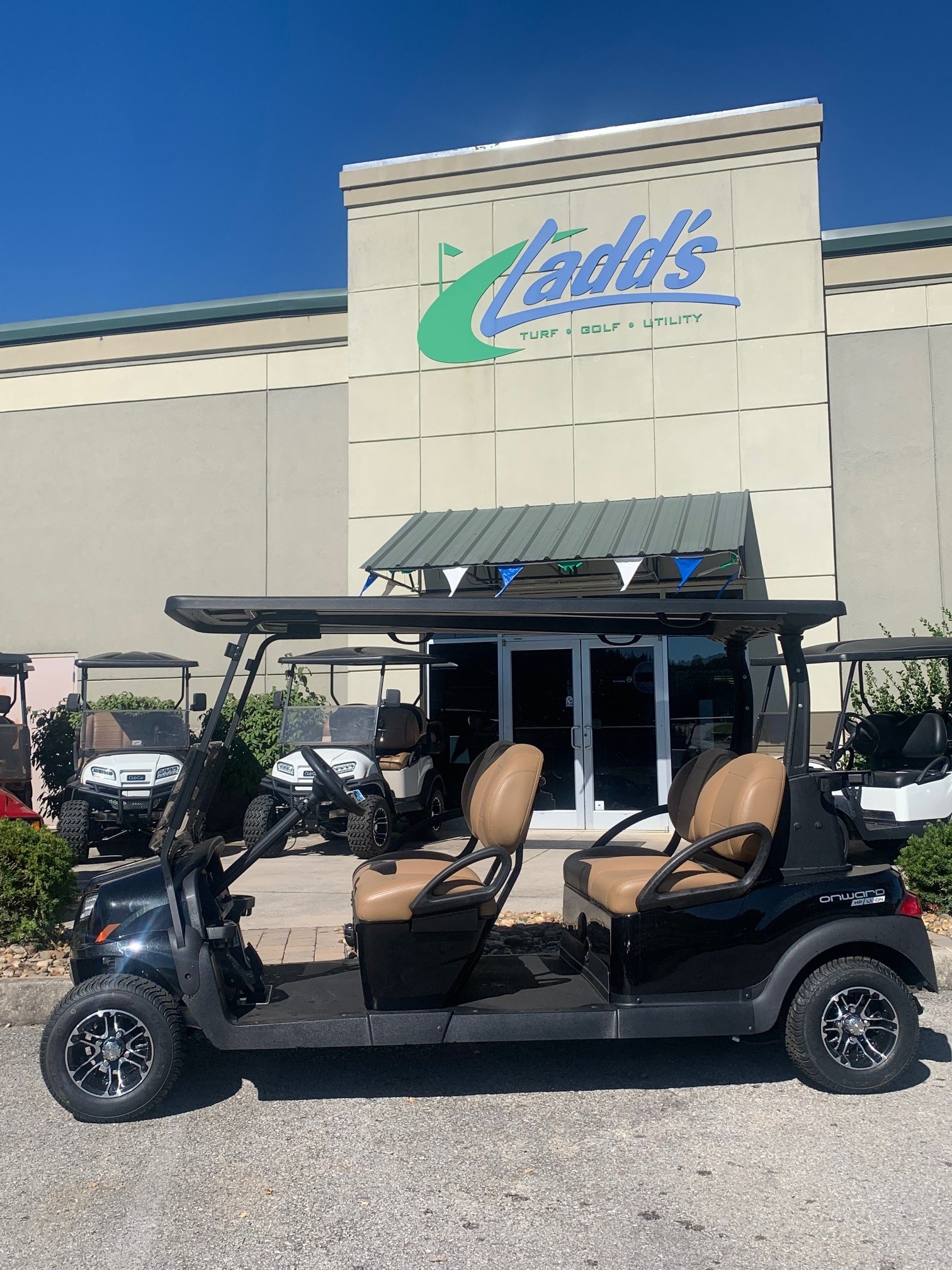 Golf Carts from Club Car, Evolution Electric Vehicles and Huntve Ladd's